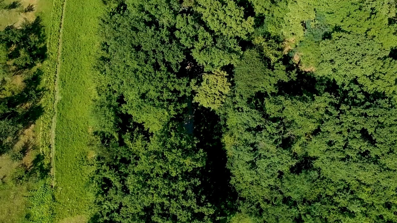 Gooing higher - YouTube