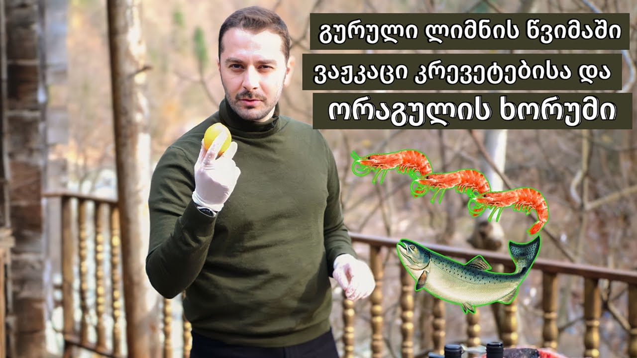გურული ლიმნის წვიმაში ვაჟკაცი კრევეტებისა და ორაგულის ხორუმი Youtube
