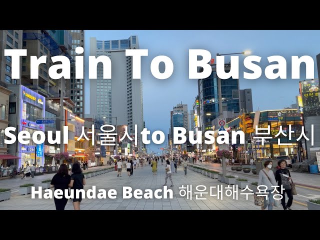 Train to Busan: Traveling from Seoul to Busan on the KTX High Speed ...