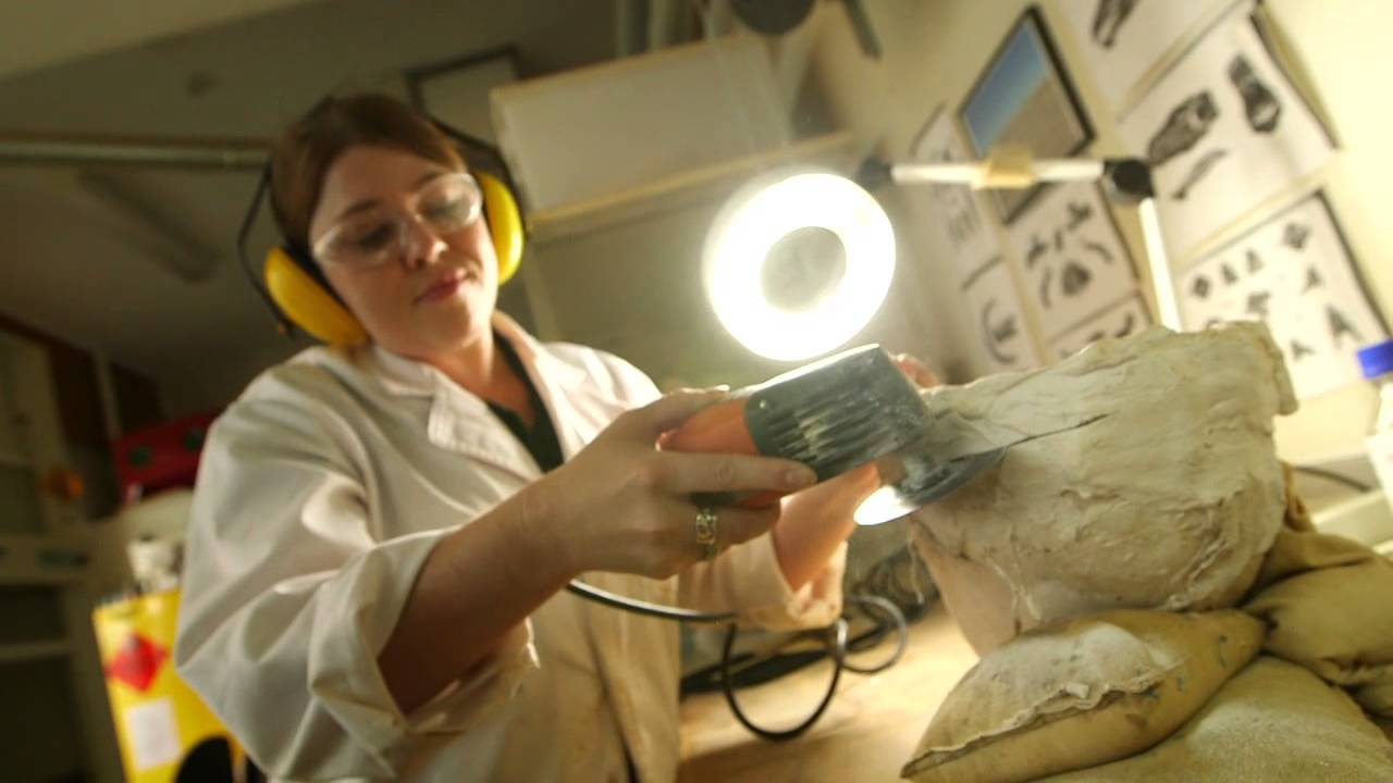 Palaeontology research in the field and in the lab - YouTube