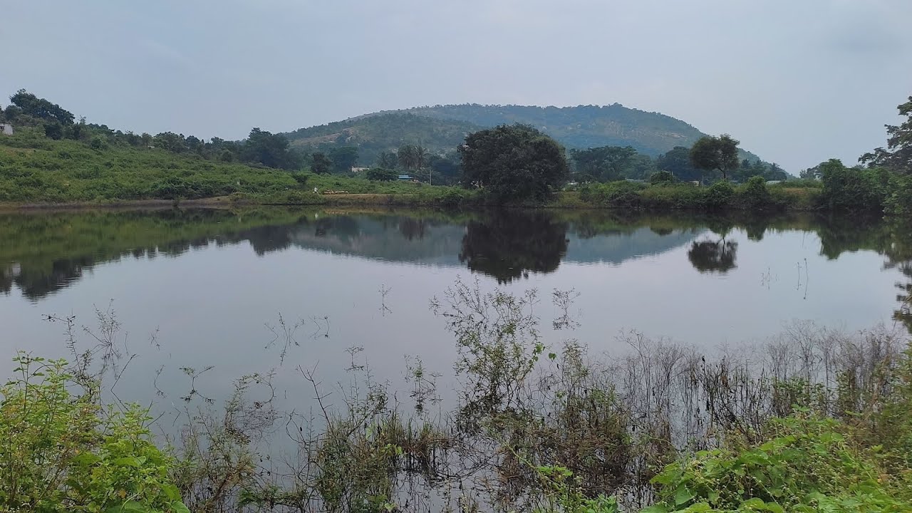 Pond Bannerghatta Forest - YouTube