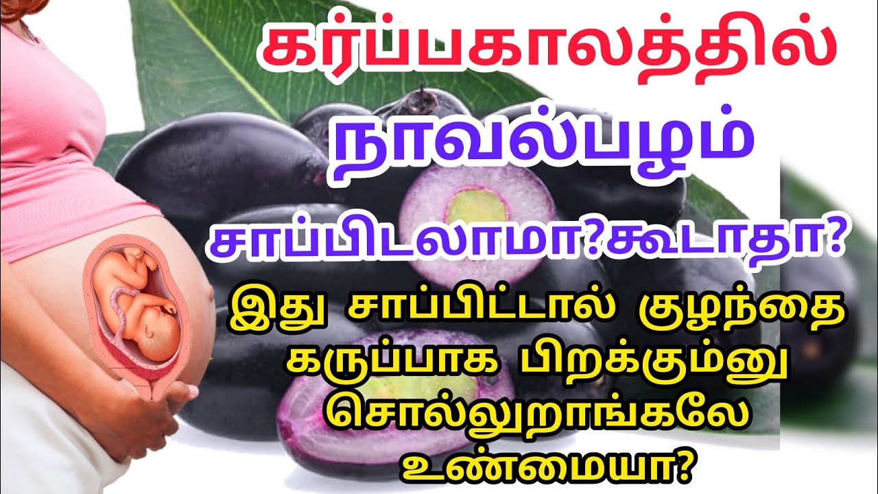 நாவல் பழம் கர்ப்பிணி பெண்கள் சாப்பிடலாமா|naval palam during pregnancy ...