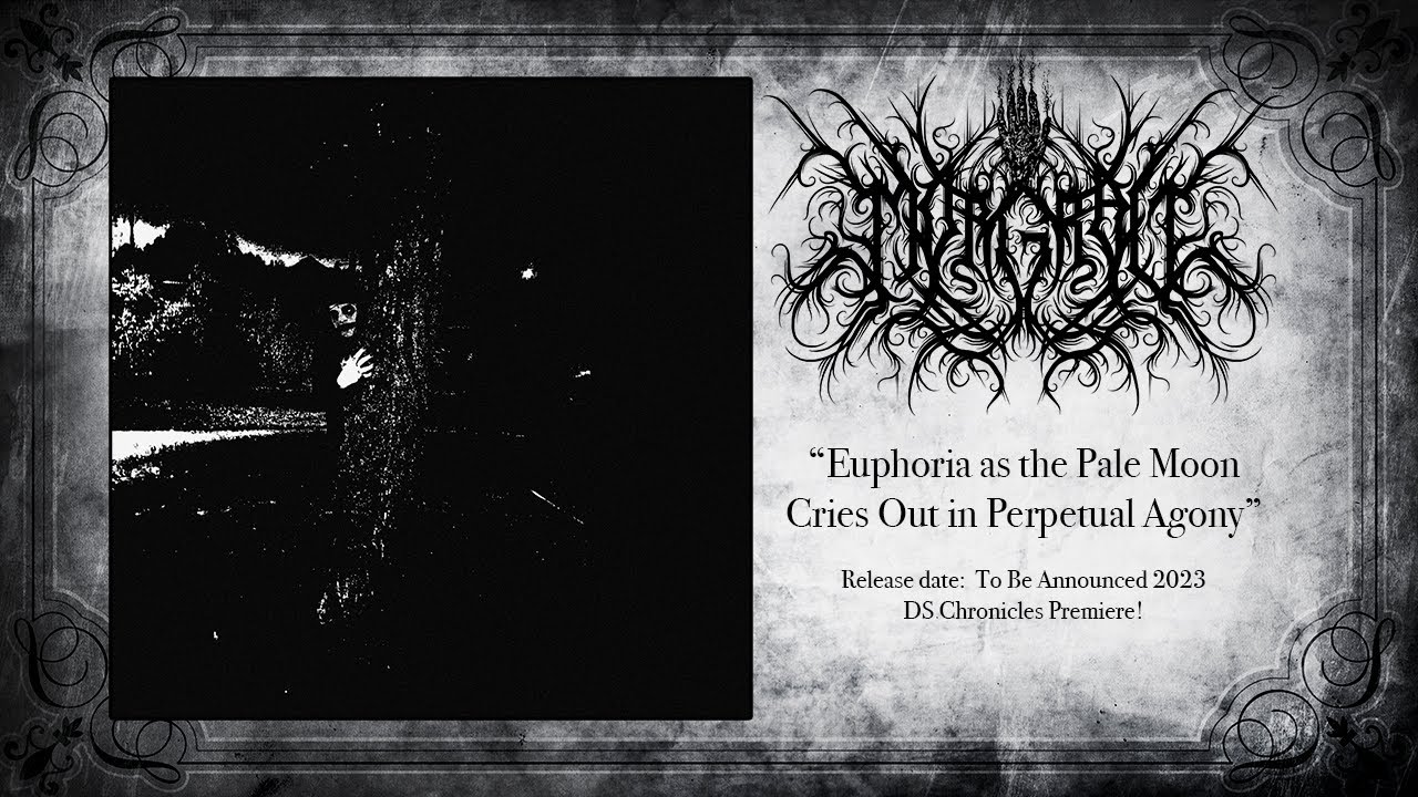Morgrav - Euphoria as the Pale Moon Cries Out In Perpetual Agony (2023 ...