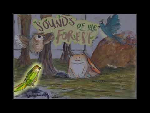 Sounds of the Forest: Sound of Bulbul