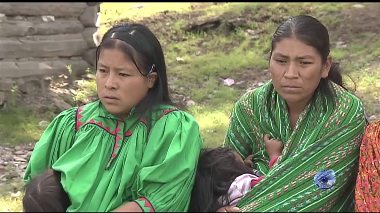 Aportes del modelo tradicional de atención del embarazo, parto y ...