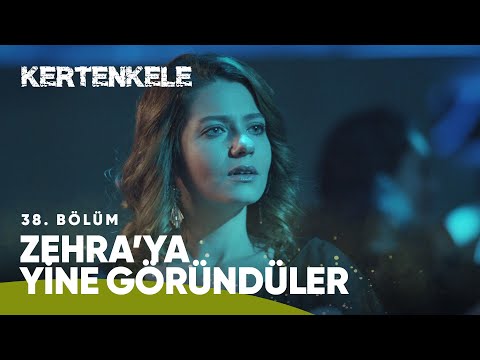 Ziya hoca mı o? - Kertenkele 39. Bölüm Sahneleri