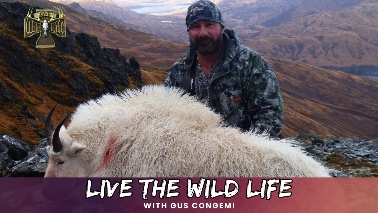Heart-Pounding Mountain Goat Hunt on Kodiak Island – Live The Wild Life ...