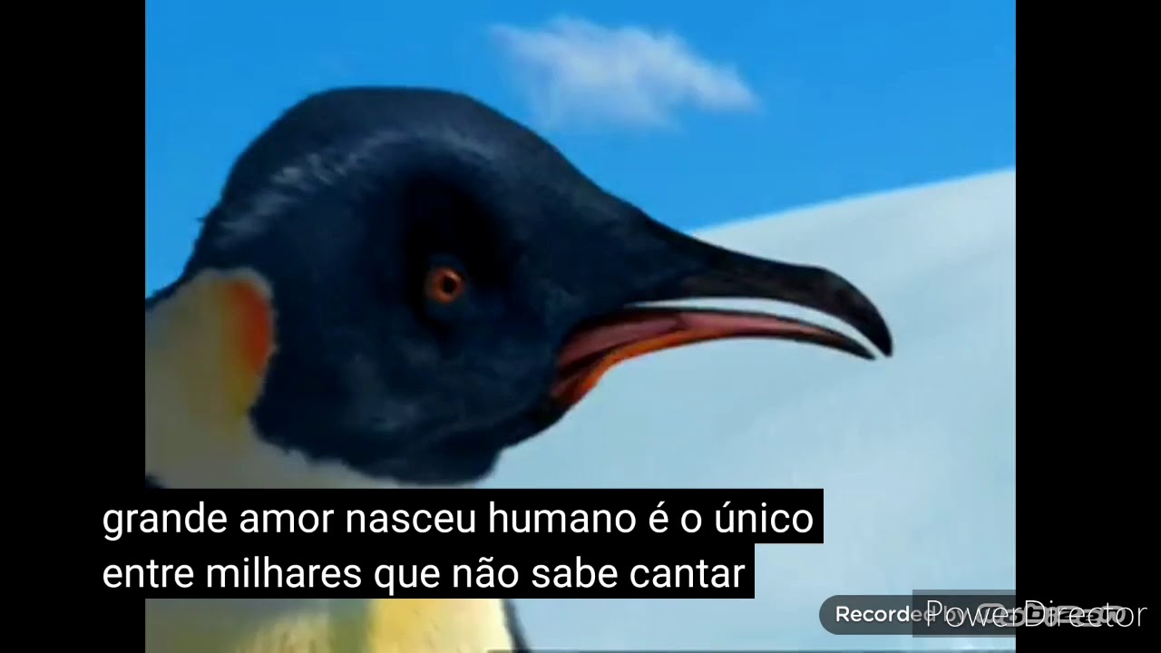 happy feet o pinguim zoomoo - YouTube