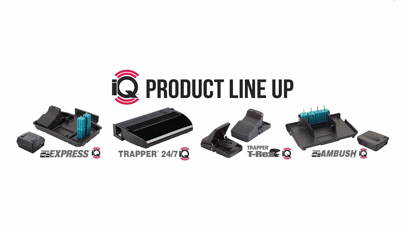 iQ Products for Every PMP - YouTube