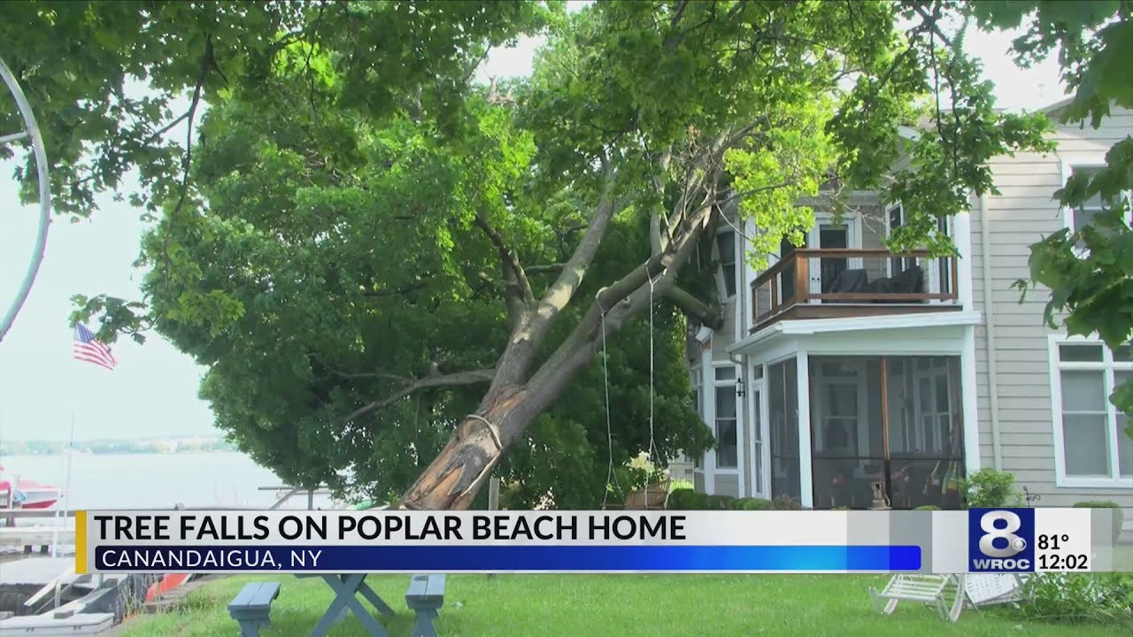 Tree falls on Poplar Beach home in Canandaigua - YouTube