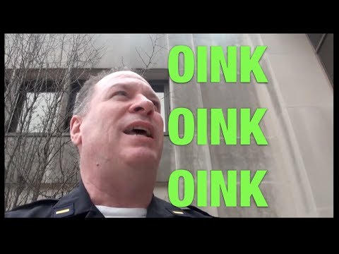 Pink Camera Magic Interview - YouTube