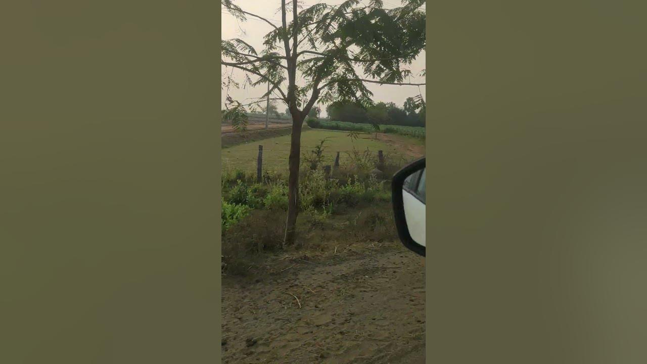 commercial plot for sale @10 km from khammam towards bhonakal #khammam #investment #properties # ...