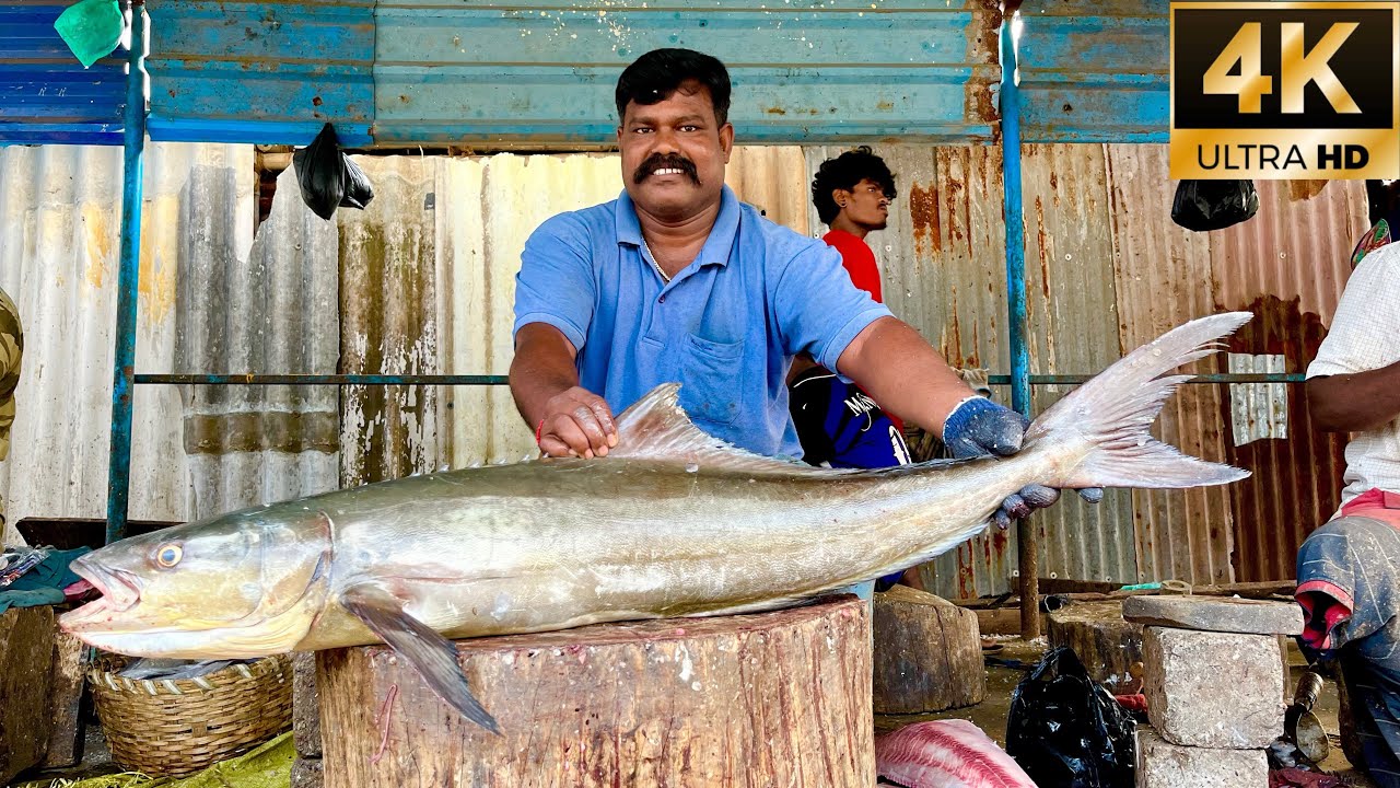 Kadora fish cutting video/fishcuttingrs#kasimedu #fishcuttingrs #fish ...