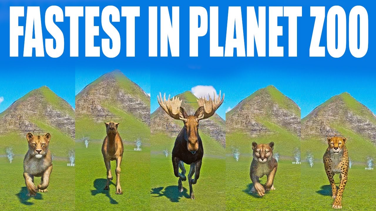 Fastest Animals in Planet Zoo speed Race in Planet Zoo INCLUDED Moose ...