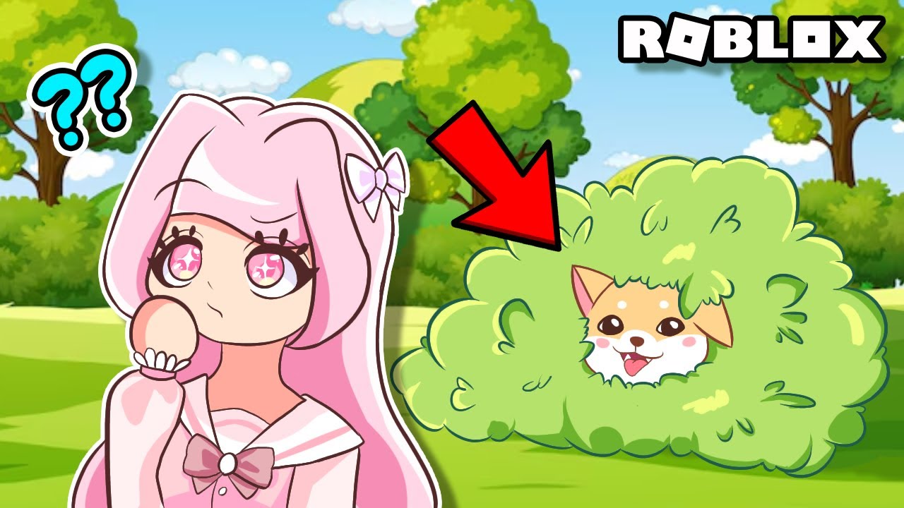 Where is The Puppy??? | Roblox | Find The Puppies - YouTube