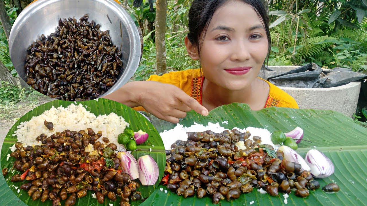 Snail Cooking and Eating | Healthy Snail Recipe | Village Life SA - YouTube