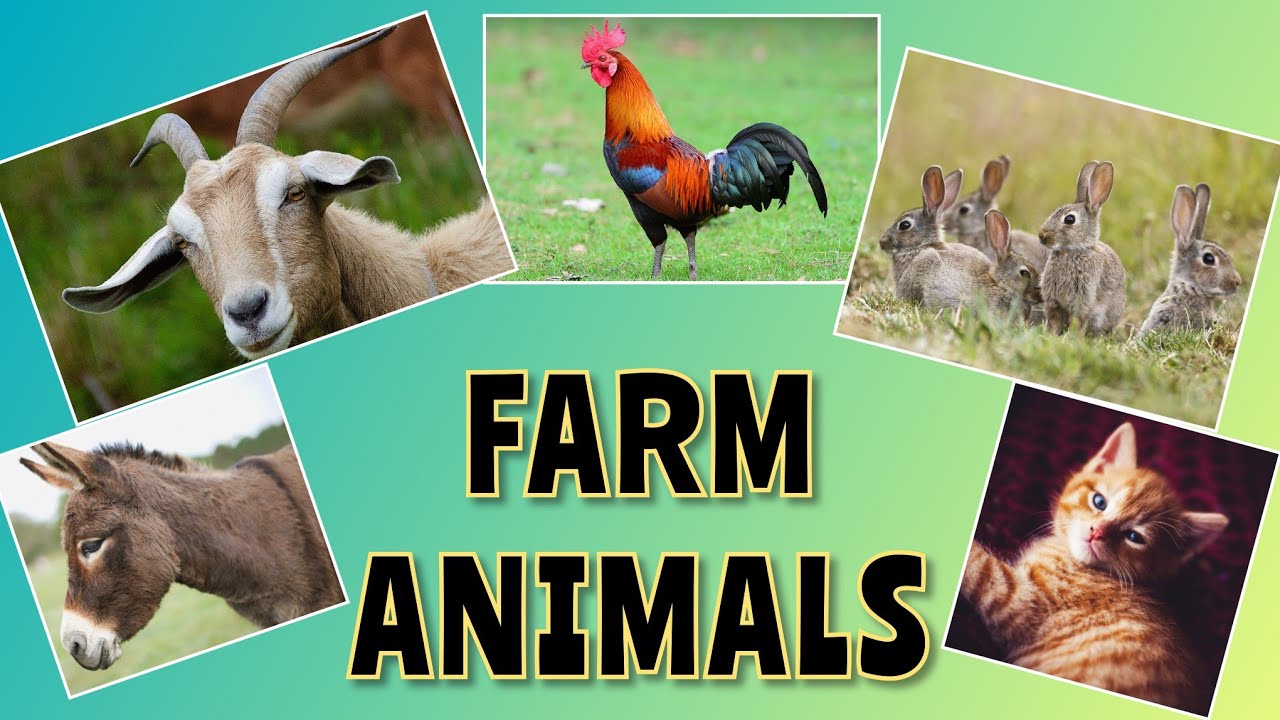 Farm animal names and their sounds for kids #Farm animals and their ...
