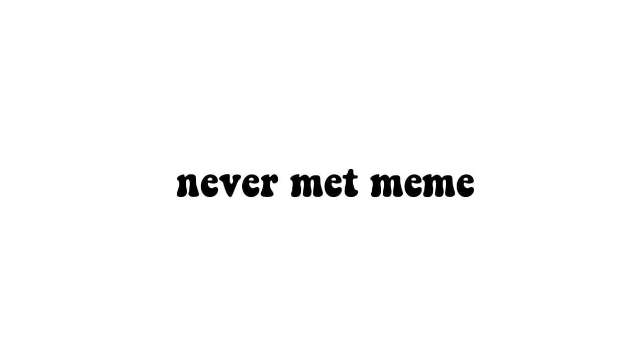 NEVER MET MEME - i wish never met - YouTube