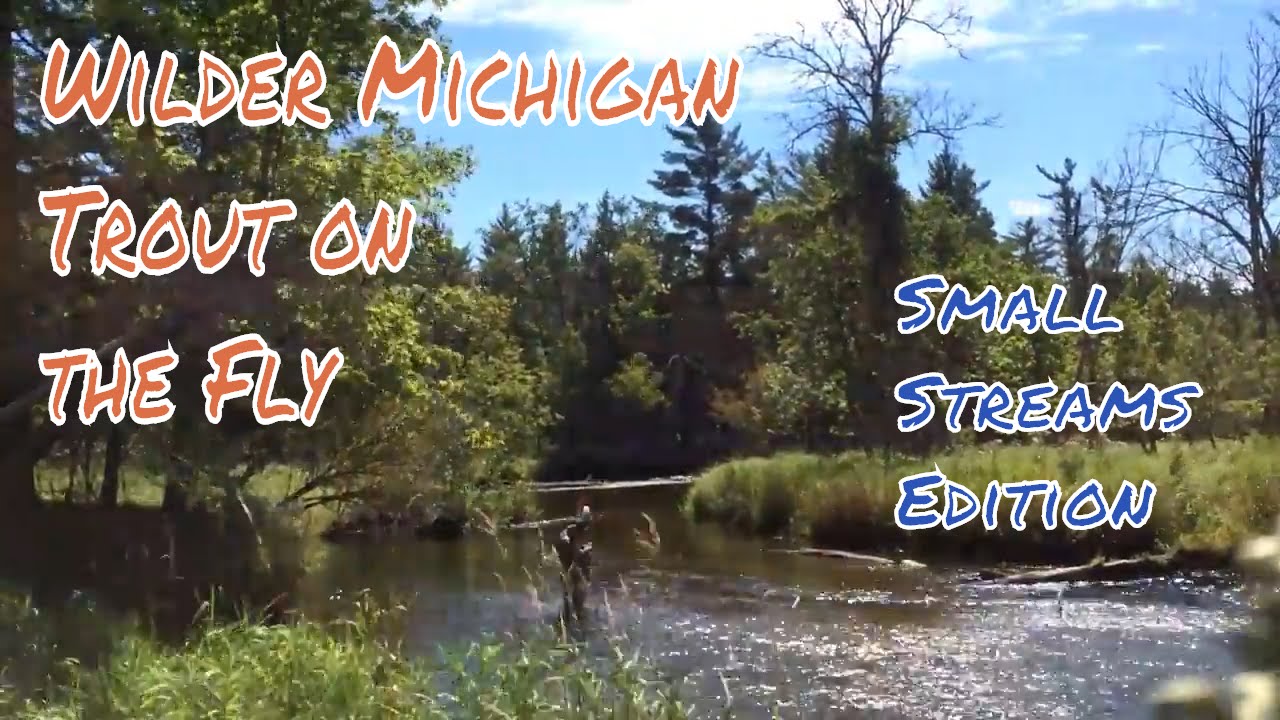 Trout On The Fly Michigan Small Streams! - YouTube