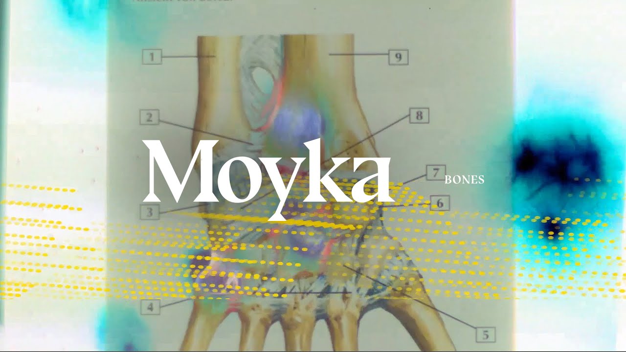 Moyka — Bones (Lyric Video) - YouTube