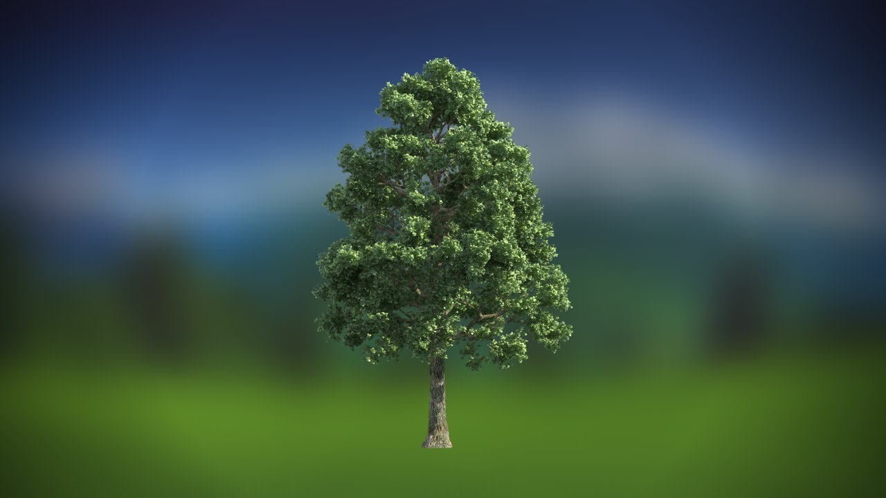 What Is Team Trees I Donated Too YouTube What Is Team Trees I Donated Too YouTube
