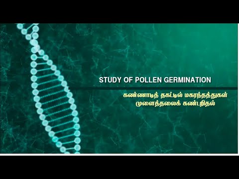 CLASS 5 DESSECT AND DISPLAY POLLINIA : +2 BOTANY PRACTICALS - YouTube