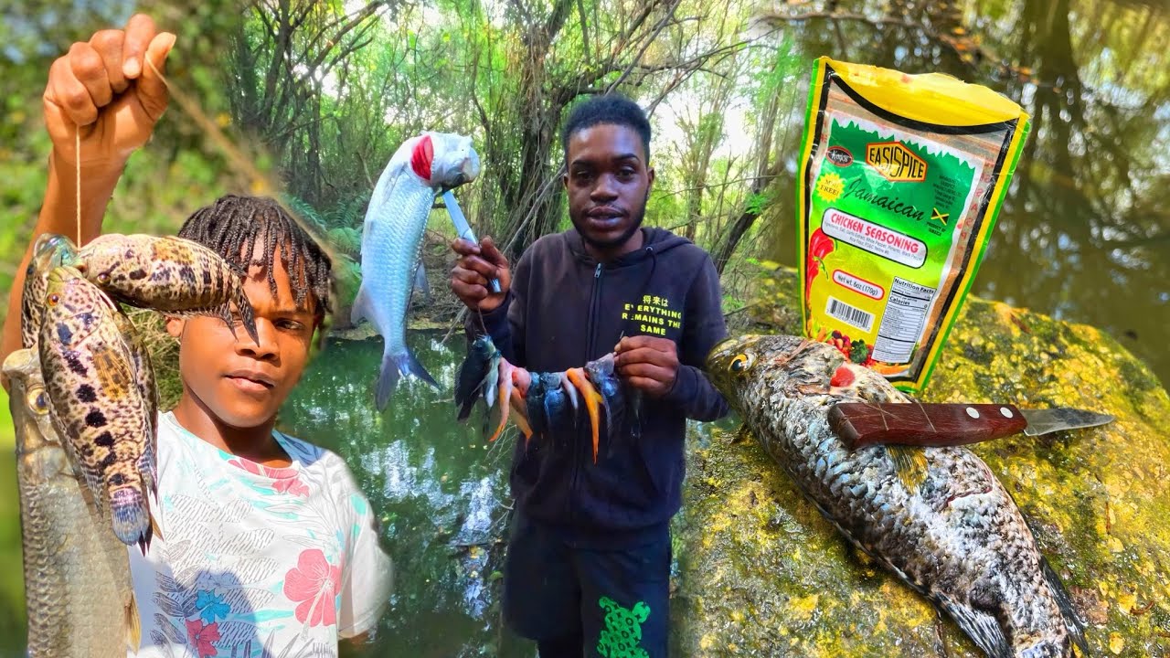 Hand line fishing [catch clean and cook] by the creek - YouTube