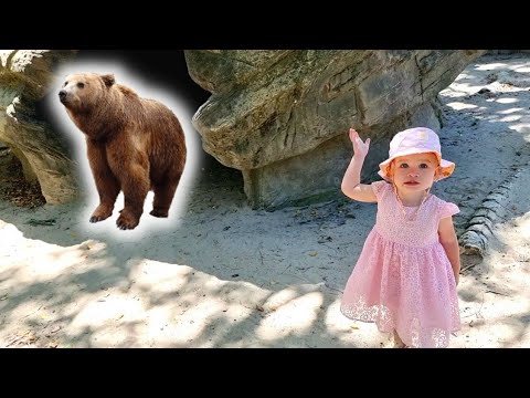 We're going on a bear hunt | Kids video | Kids story | Kids show ...