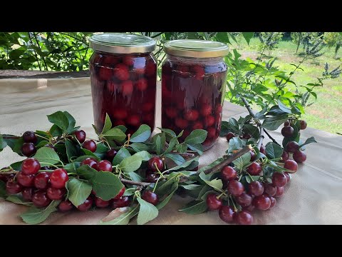 Kompot i natyralë prej vishnje  !! Doğal vişne kompostosu yapımı çok kolay!!