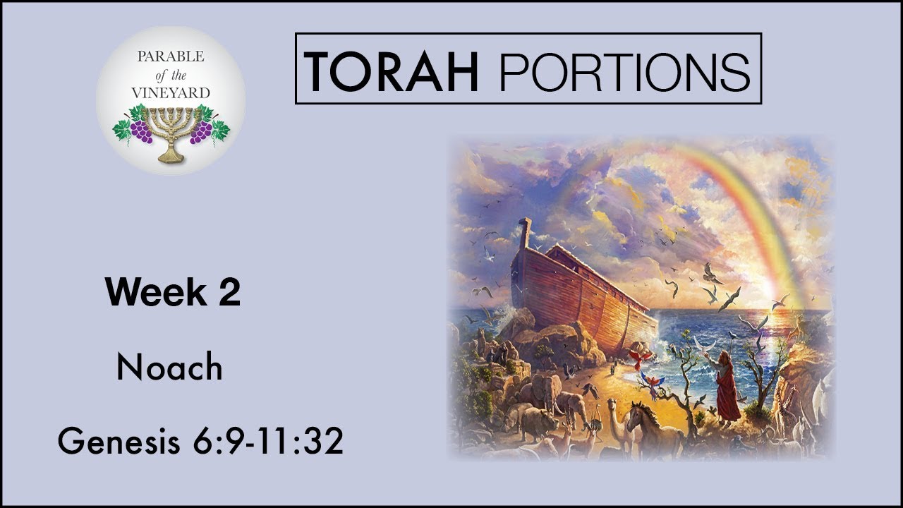 Torah Portions - Week 2 - Noach | נֹחַ l “Noah” - W/ PoTV - YouTube