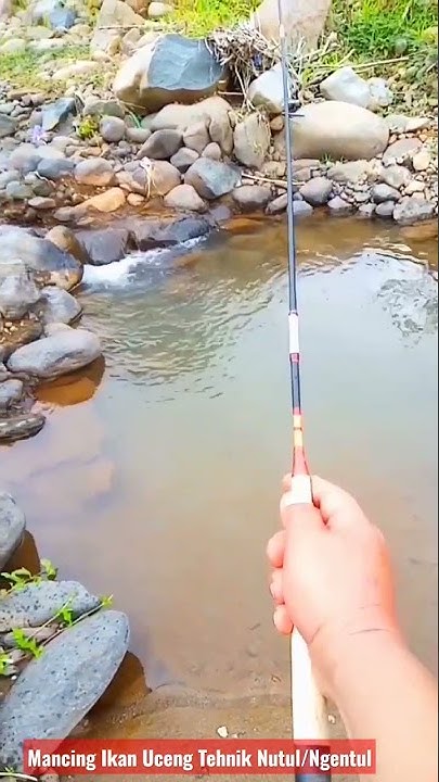 Mancing Ikan Uceng Umpan Cacing-Mancing Ikan Disungai Tehnik Nutul/Ngentul-Micro Fishing - YouTube