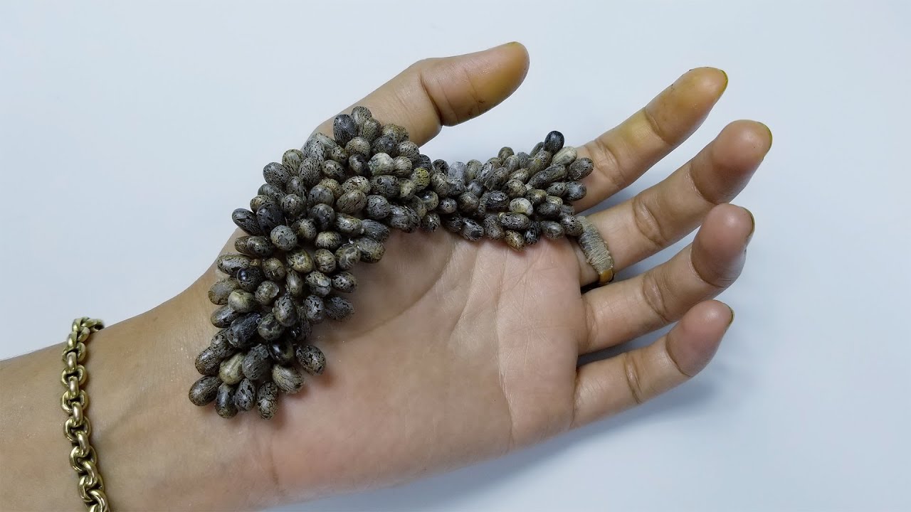 Let's cleaning million tick on human hand - YouTube
