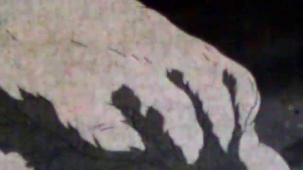 The Birth Of Wonder Woman - YouTube