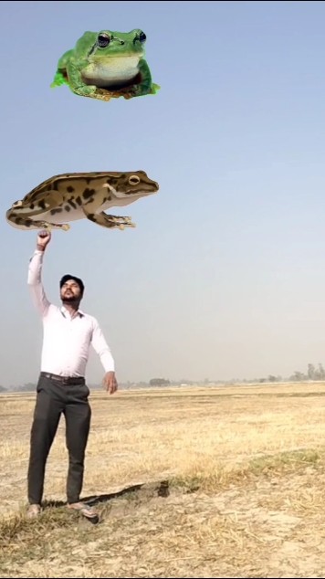 Tu Radhe Meri Main Shyam Tera vs moye moye👍blue Red & frog Bee dog ...