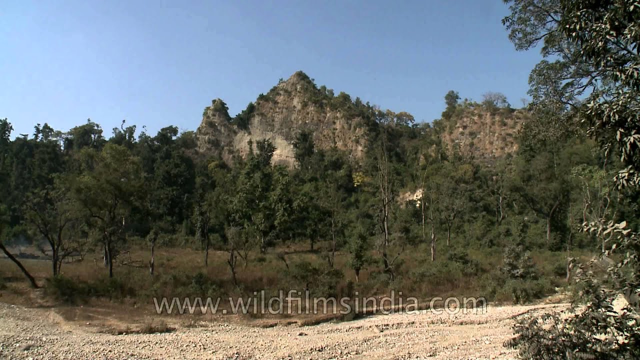 Shivalik hills in Rajaji National Park - YouTube