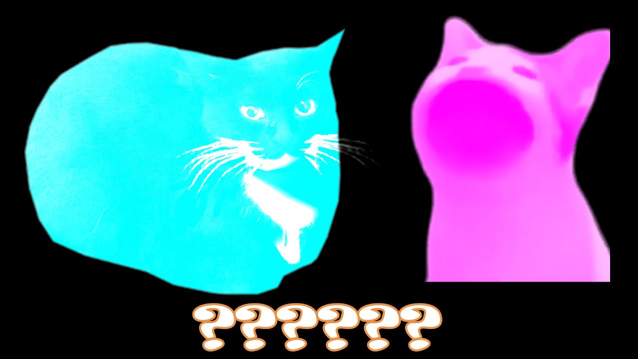 6 "Maxwell The Cat and Pop Cat" Sound Variations in 44 Seconds - YouTube
