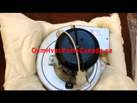 Genuine Lennox Inducer Motor 24W95 - YouTube