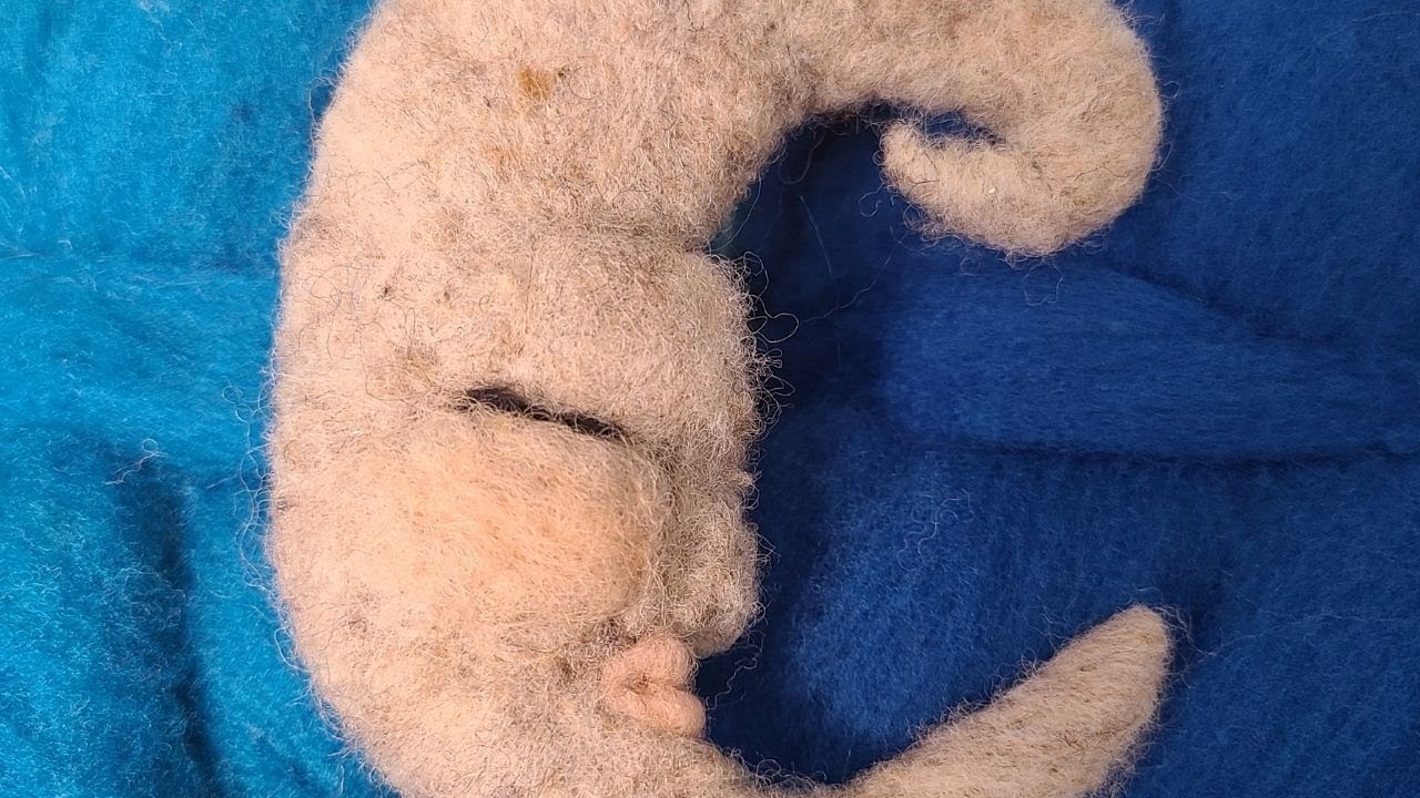 Crescent Moon Needle Felt Tutorial - YouTube
