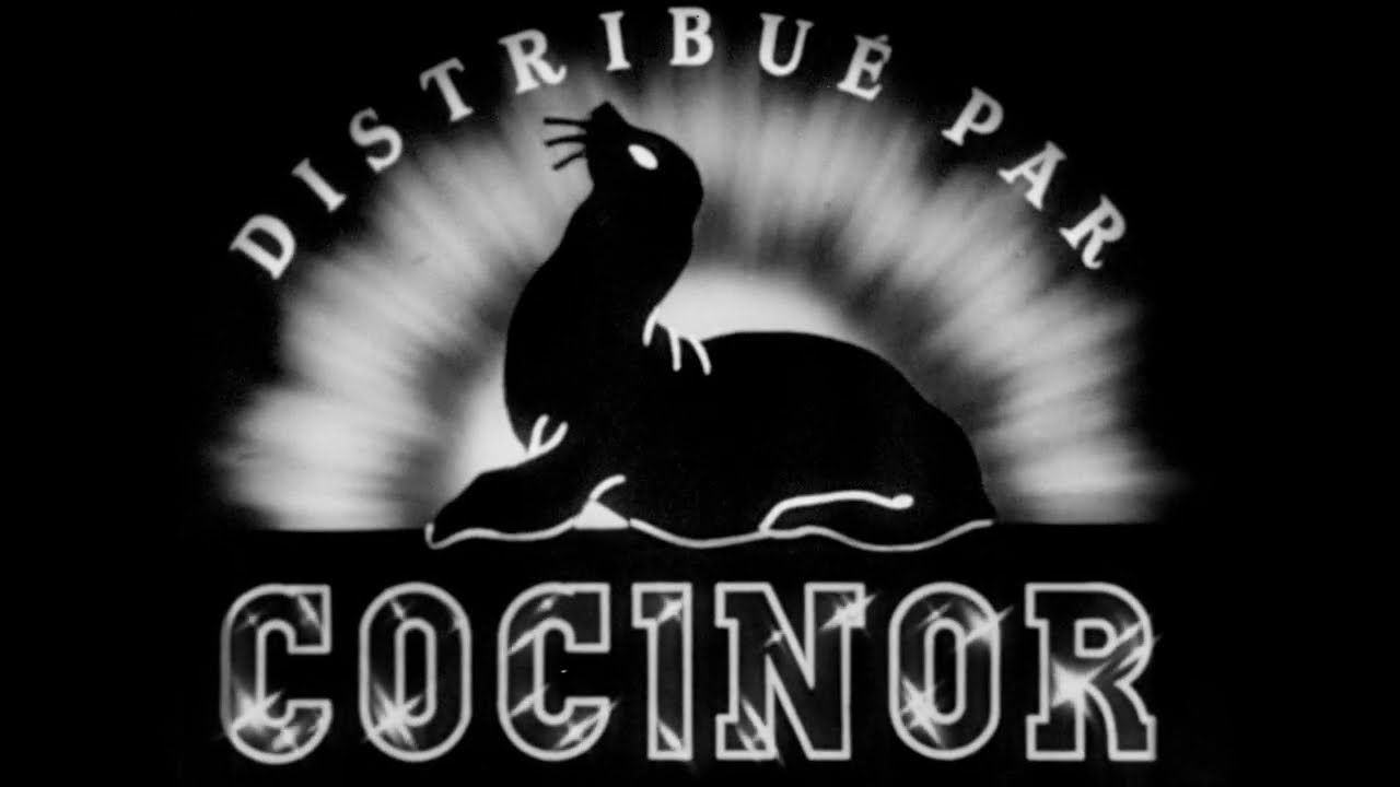 The Criterion Collection/Janus Films/MK2/CNC/SEDIF/Imperial Film ...