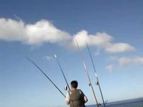 Taz's Fish Kagami Ulua (#2) - YouTube