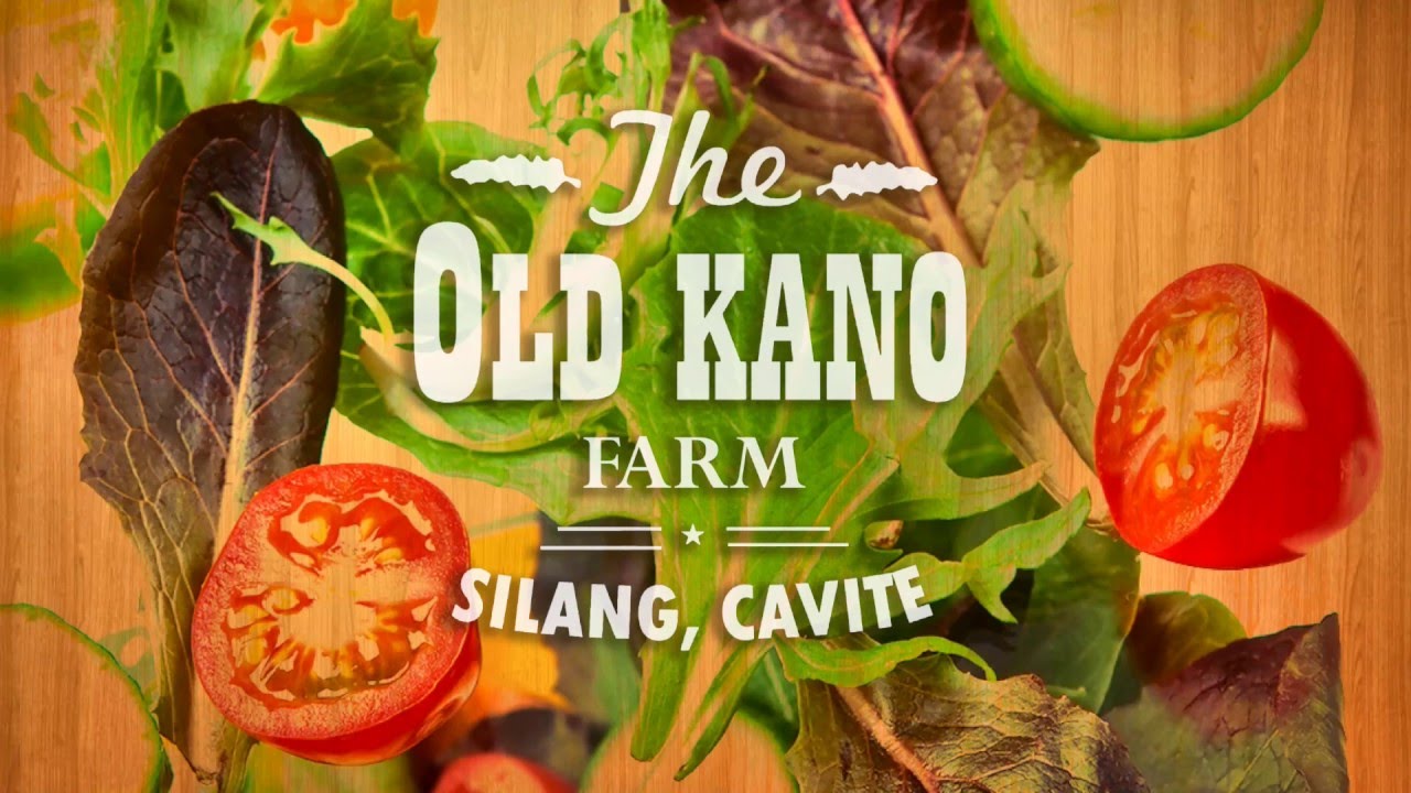Old Kano Farm - YouTube