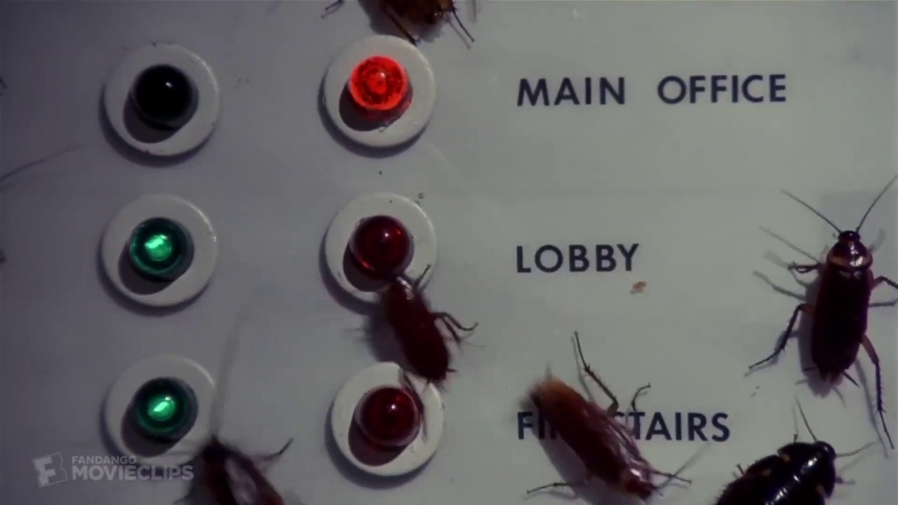 Creepshow (1982) - Death By Roaches - YouTube