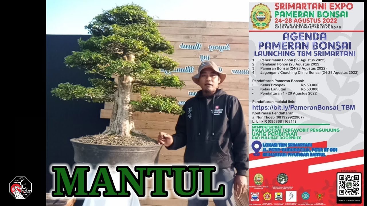 PAMERAN BONSAI LOKAL SRIMARTANI EXPO - YouTube