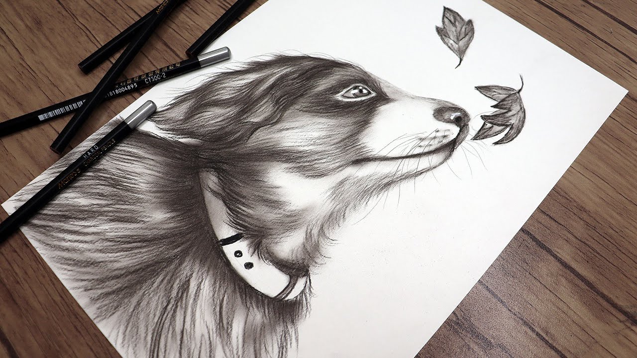 How to Draw a Cute Dog and Leaves| Step by Step Drawing - YouTube