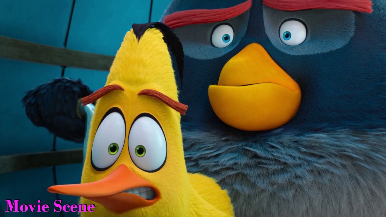 The Angry Birds 2 (2019) - It's Harvey Time Scene (8/13) | Movie Scene ...