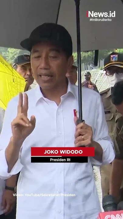 Jokowi Targetkan Normalisasi Kali Ciliwung Selesai Akhir 2024 Youtube