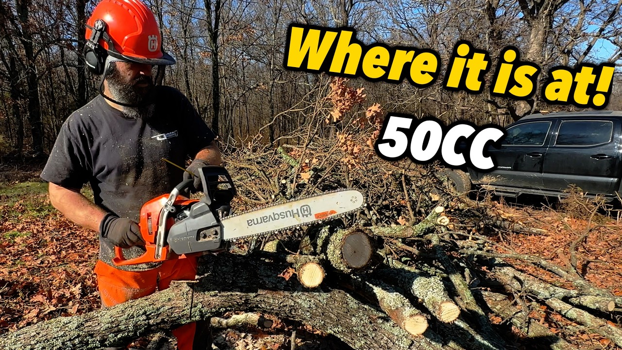 Ultimate Brush Slasher - Husqvarna 545 Pro 50CC Chainsaw - YouTube