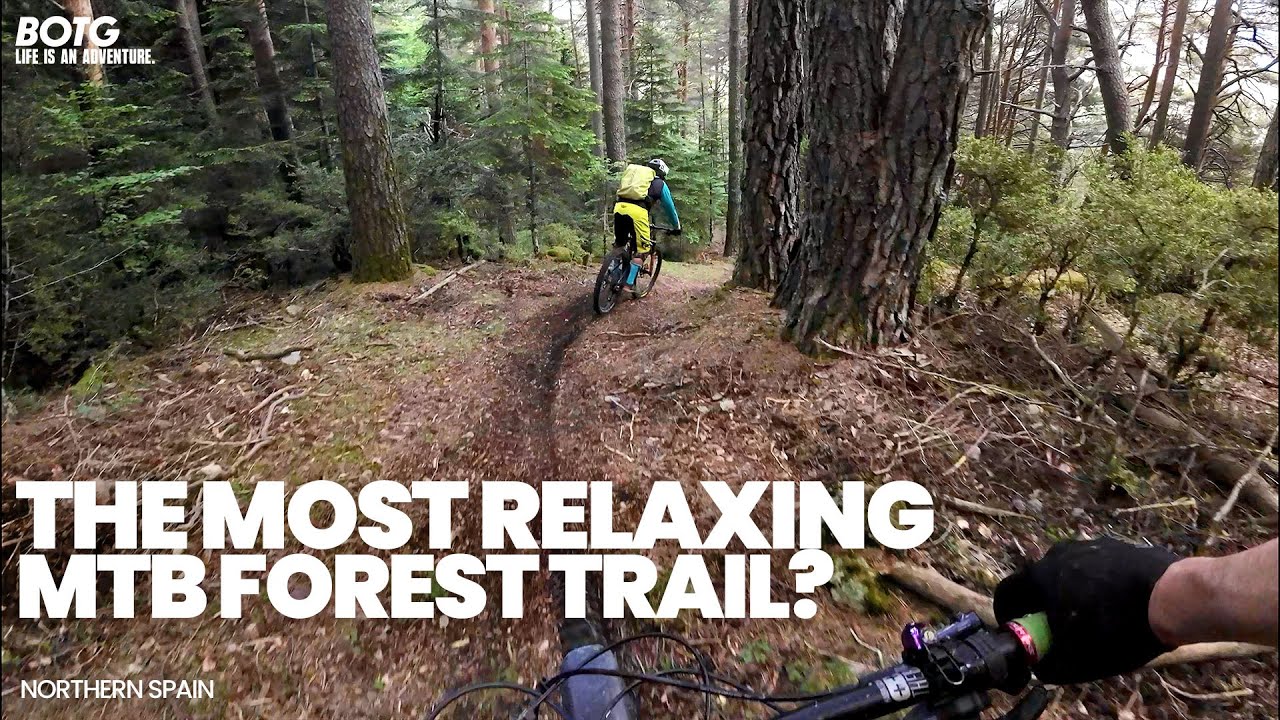 Amazing Forest MTB Trail : The Mulch Flow Riders - YouTube