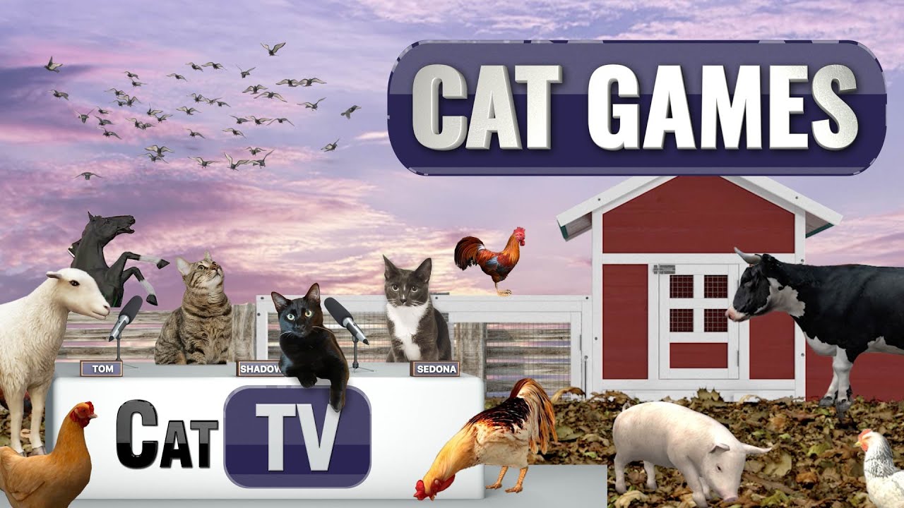 CAT Games | Barnyard Bliss: Down on the Farm with Pigs, Cows, Chickens ...