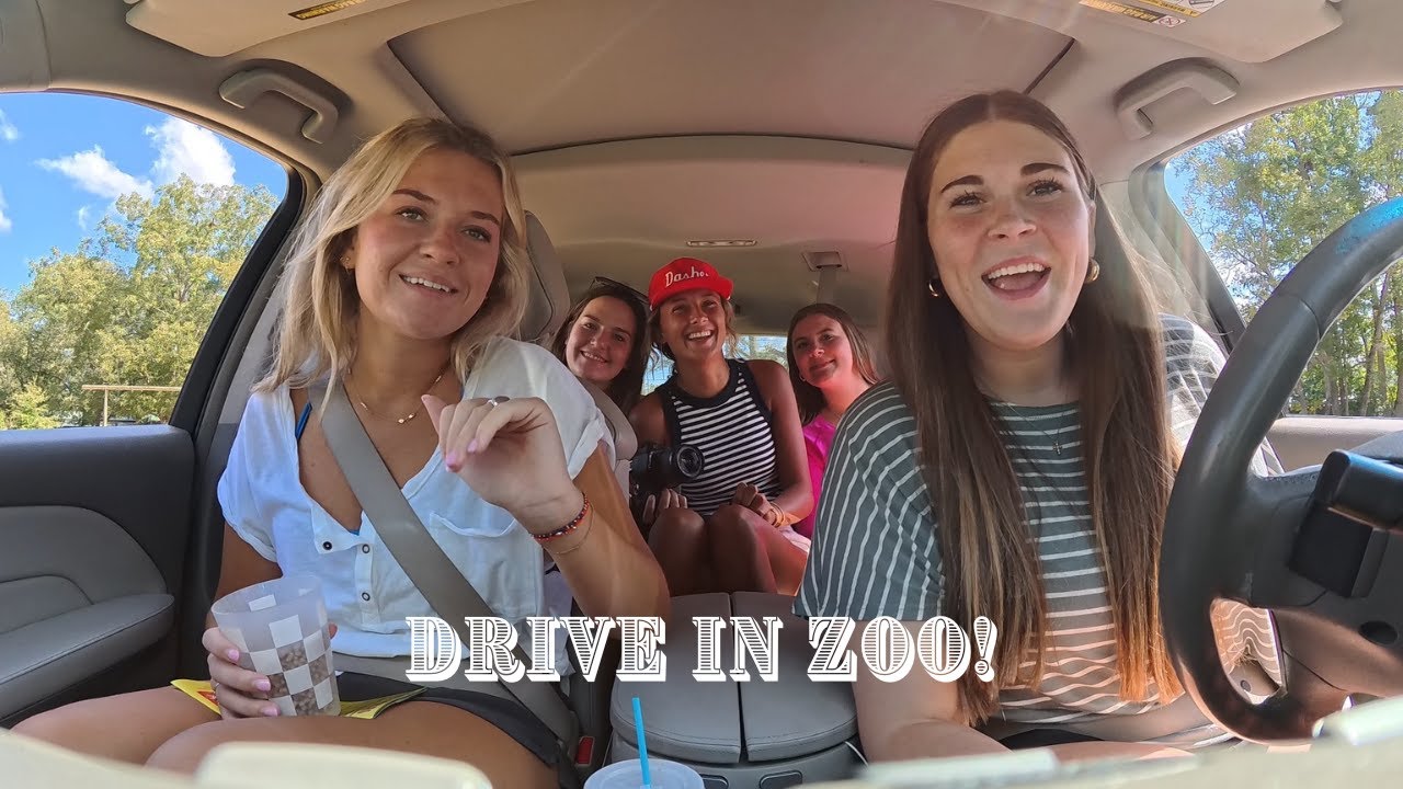 DRIVE IN ZOO! - YouTube
